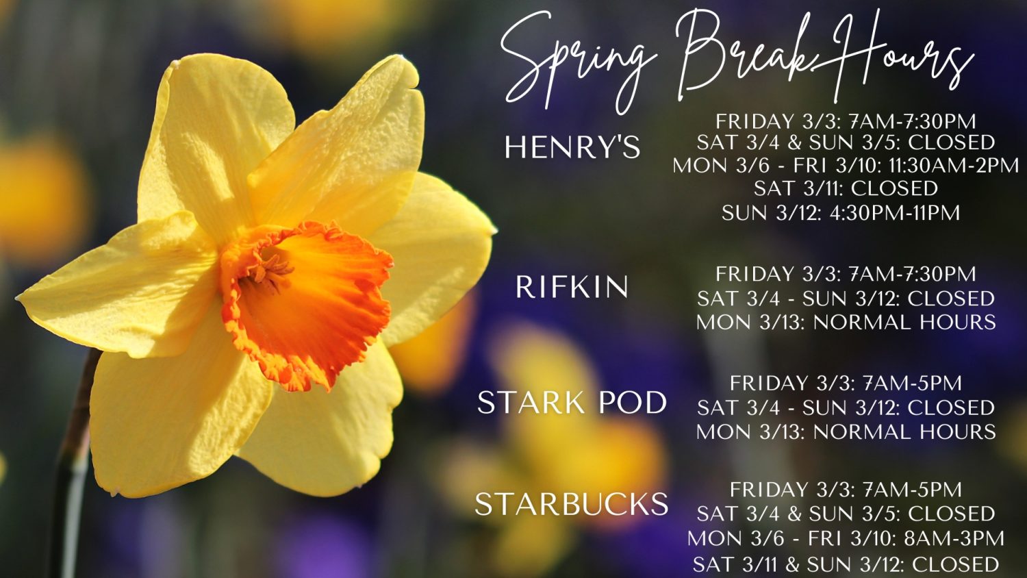 Spring Break Dining Hours Today Wilkes Spring Break Dining Hours Today Wilkes